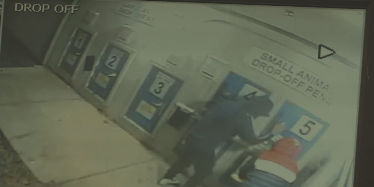 Video shows the moment two men broke into the Anchorage Animal Care and ... Video shows the moment two men broke into the Anchorage Animal Care and ...