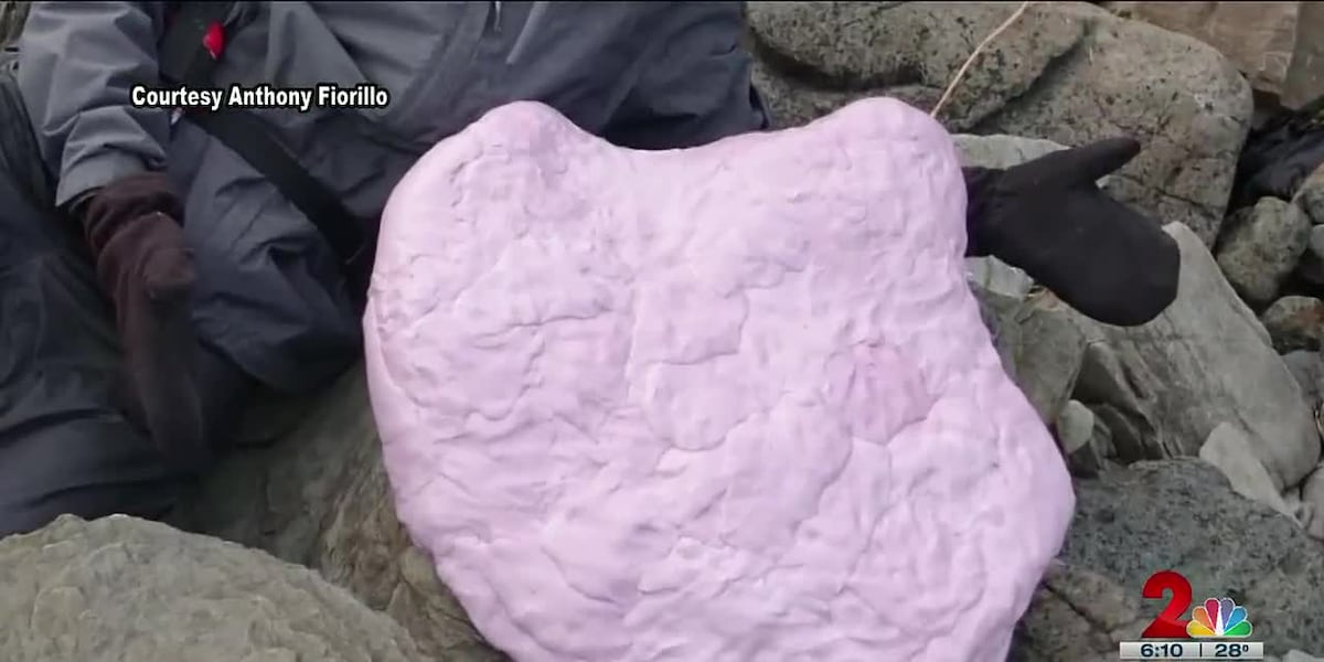 Prehistoric discovery challenges ideas of where dinosaurs once roamed ... Prehistoric discovery challenges ideas of where dinosaurs once roamed ...