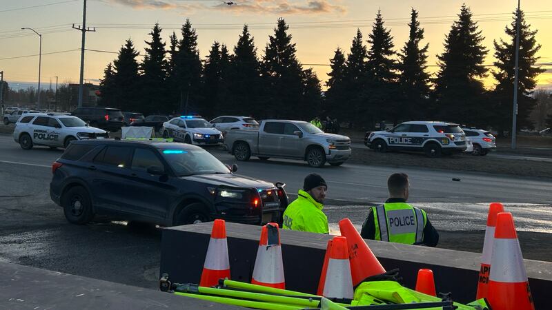 NTSB releases preliminary report on deadly plane crash in Denali ... NTSB releases preliminary report on deadly plane crash in Denali ...